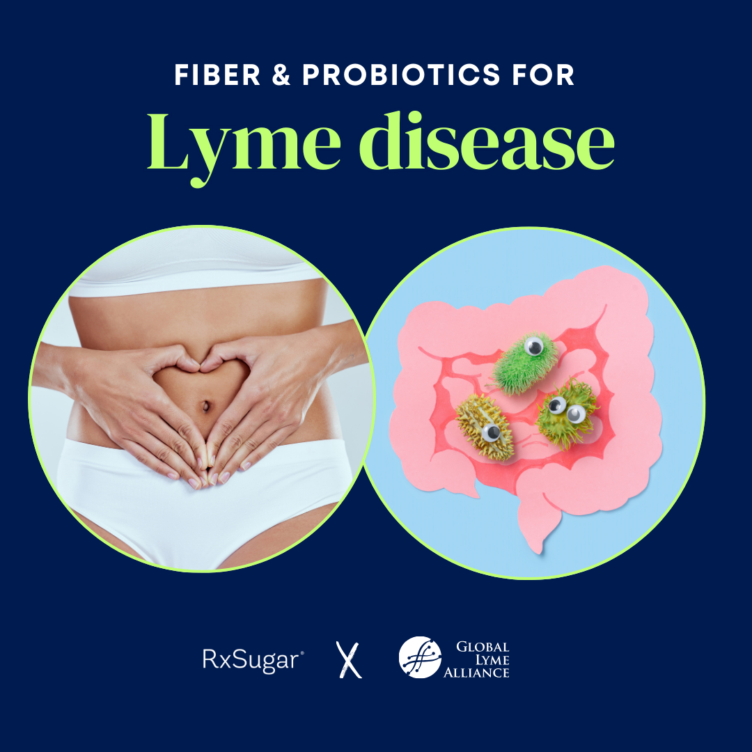 Methylene Blue and Lyme Disease